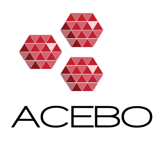 Acebo - A Digital Growth Agency